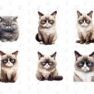 Grumpy Cat, Digital Printable Clip Art Graphics in PNG Format ...