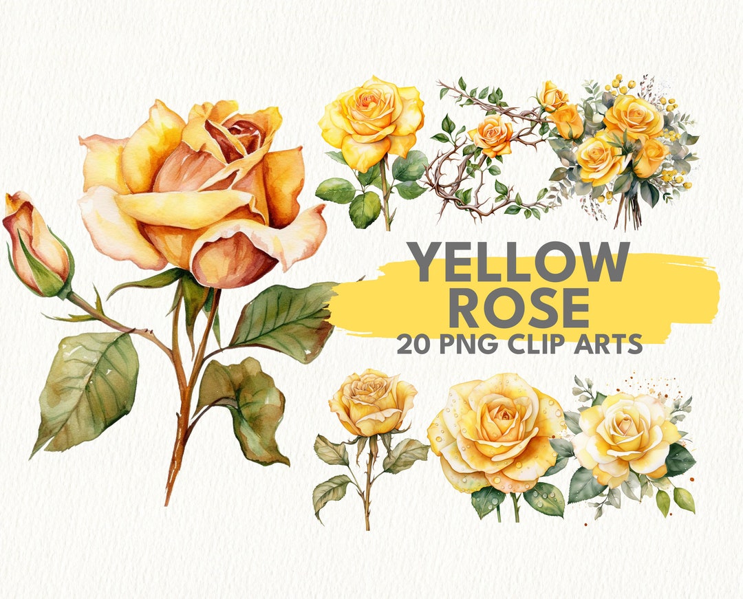 Yellow Rose, Digital Printable Clip Art Graphics in PNG Format ...