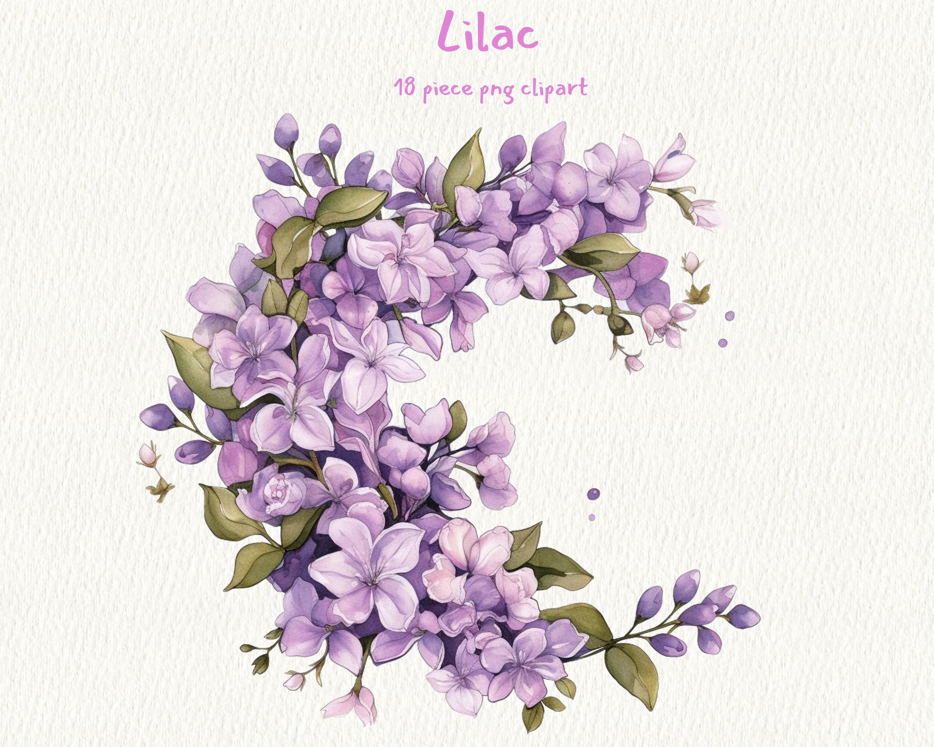 Life of Lilac, Digital Printable Clip Art Graphics in PNG Format ...