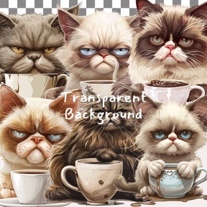 Grumpy Cat Coffee Digital Printable Clipart Bundle in PNG Format ...