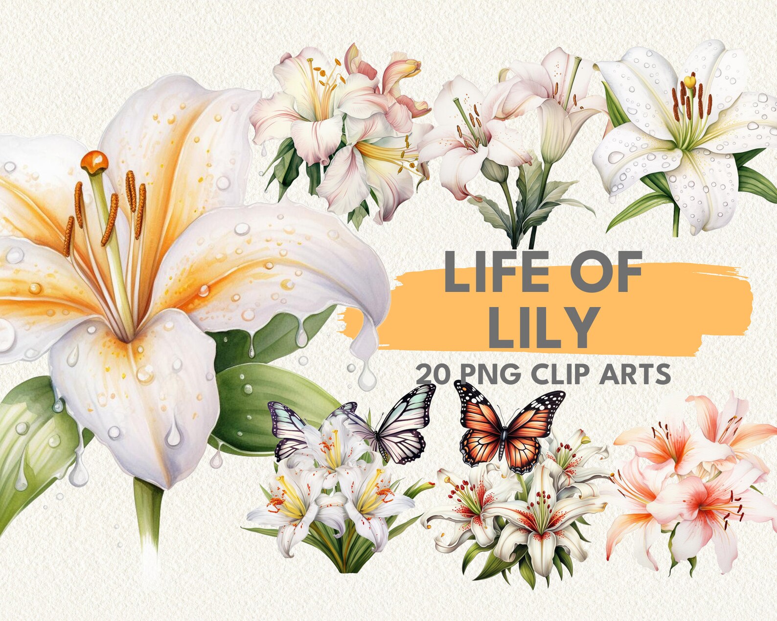 Life of Lily Digital Printable Clipart Bundle in PNG Format Transparent ...