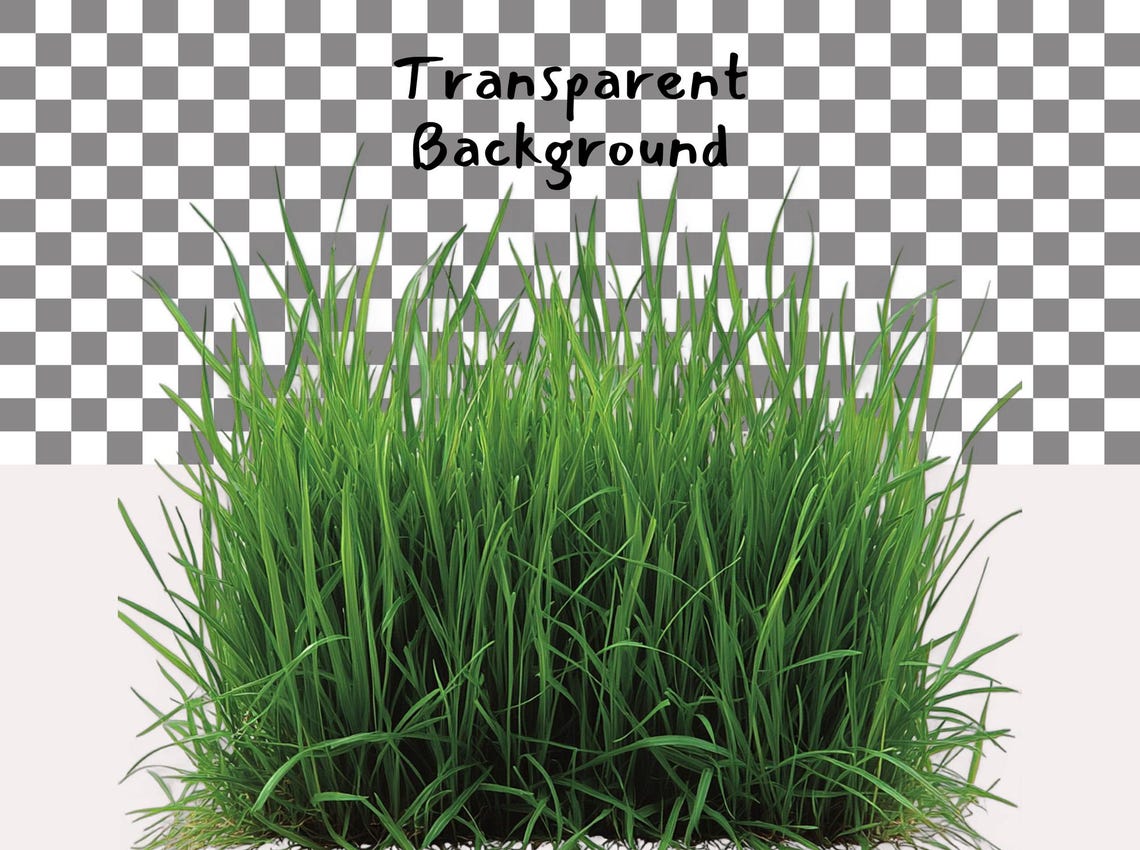 Grass Printable Clipart, Png Format, Transparent Background, Instant ...