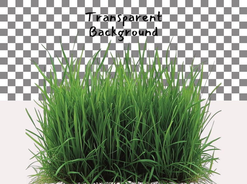 Grass Printable Clipart, Png Format, Transparent Background, Instant ...