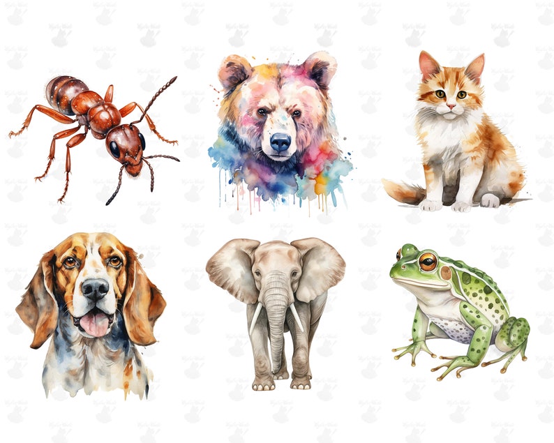 Animal A to Z, Digital Printable Clip Art Graphics in PNG Format ...
