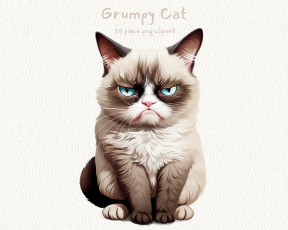 Grumpy Cat Good Gif