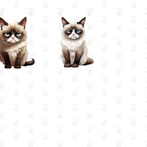 Grumpy Cat, Digital Printable Clip Art Graphics in PNG Format ...
