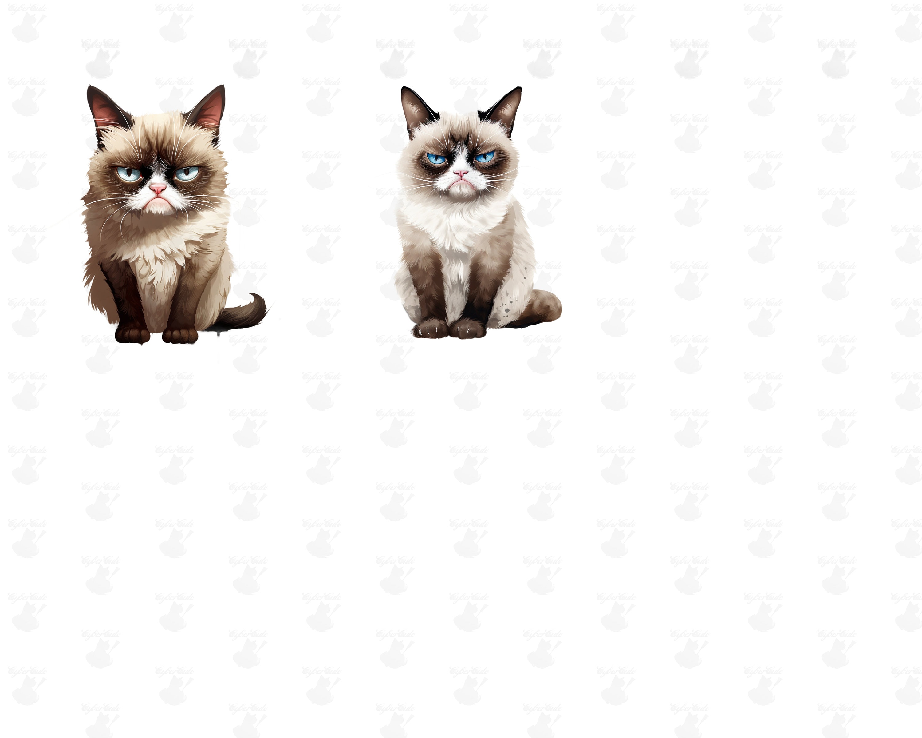 Grumpy Cat Transparent Background