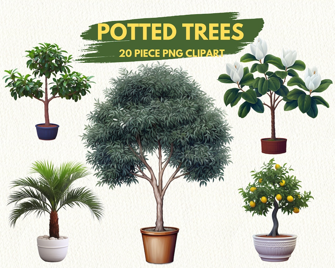 Potted Trees, Indoor Plant, Digital Clip Art Graphics in PNG Format ...