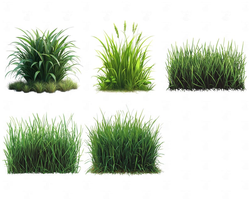 Grass Printable Clipart, Png Format, Transparent Background, Instant ...