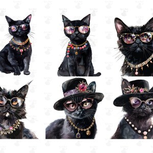 Dat Cool Cat Digital Printable Clipart Bundle in PNG Format Transparent ...