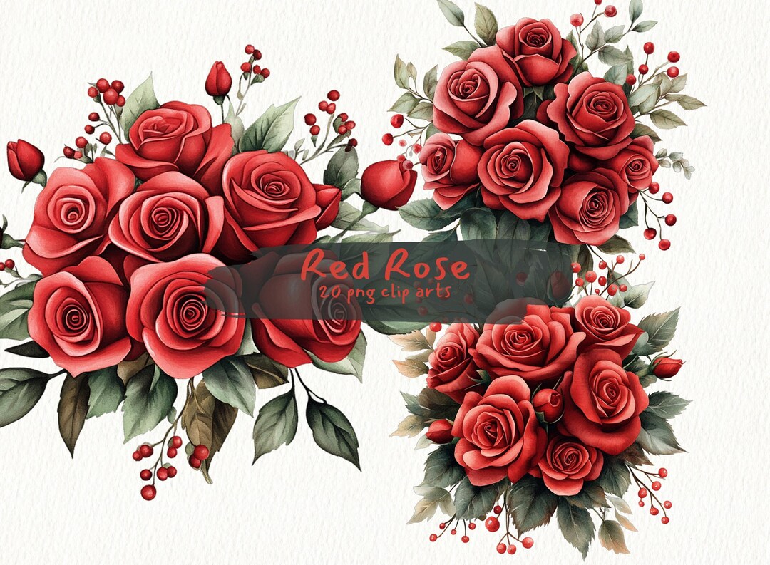 Red Rose Printable Clipart, Png Format, Transparent Background, Instant ...