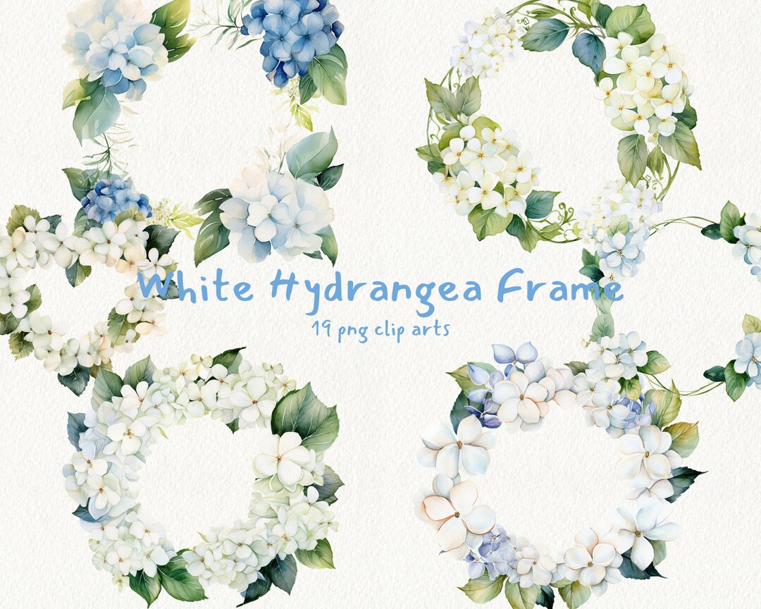 White Hydrangea Frame, Digital Printable Clip Art Graphics in PNG ...