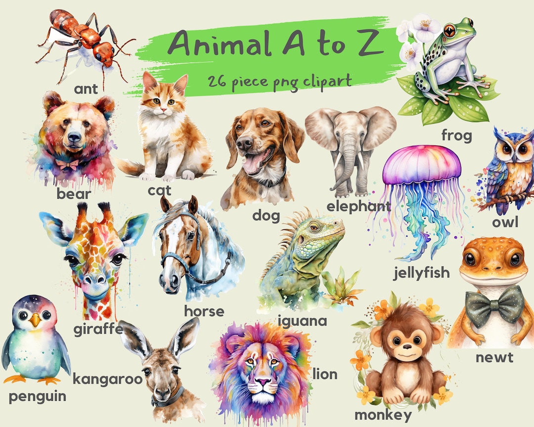Animal A to Z, Alphabet Digital Printable Clipart Bundle PNG Formats ...