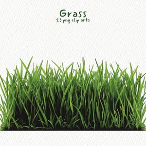 Grass Printable Clipart, Png Format, Transparent Background, Instant ...