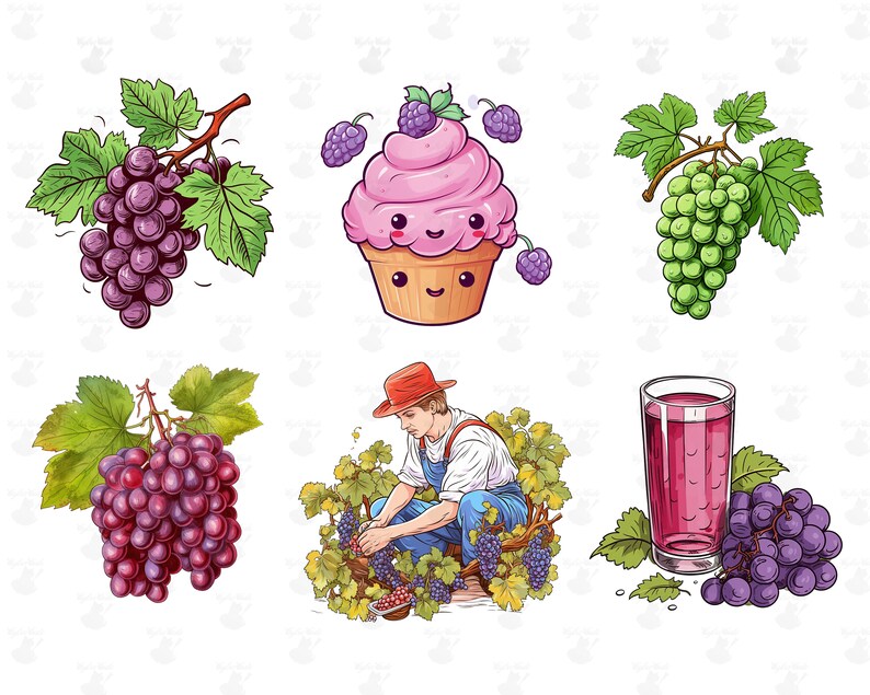 Doodle Grape Digital Printable Clipart Bundle in PNG Format Transparent ...