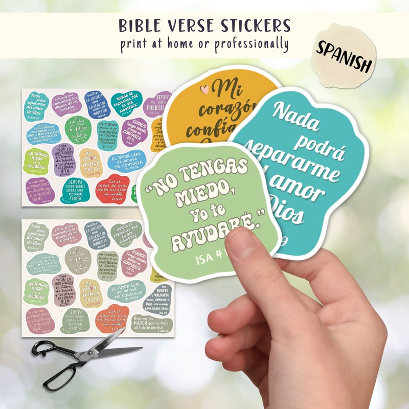 Jw Spanish Decal Pioneer - Etsy