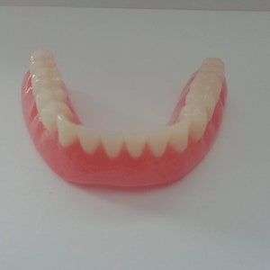 Lower Dentures Acrylic Teeth Hand Made - Etsy