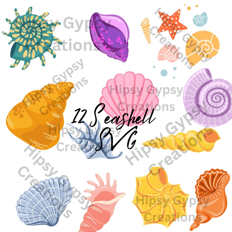 Bundle of 12 Svg and Pn)seashell SVG, Seashell SVG, Beach SVG, Summer ...