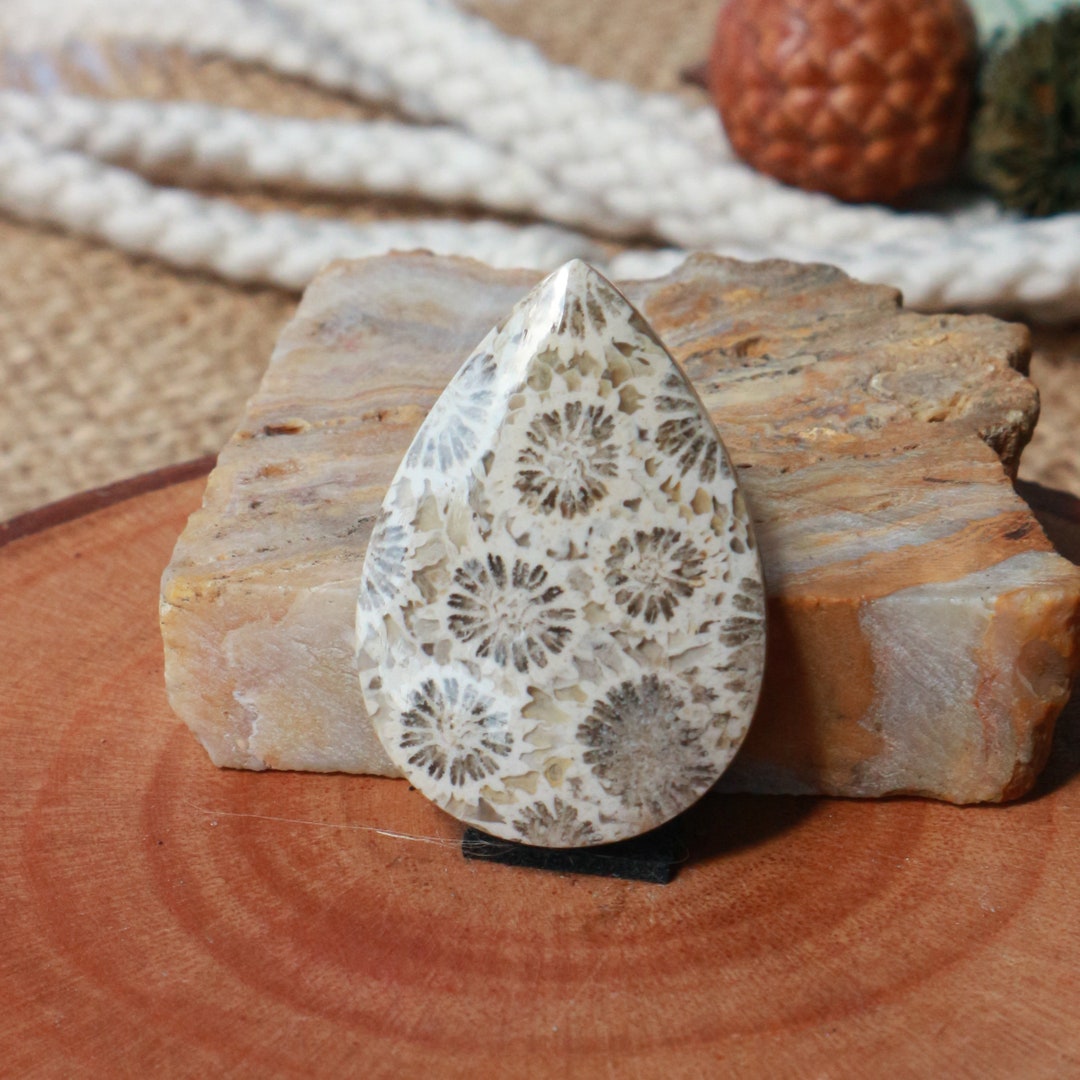 Fossilized Coral Cabochon / Coral Cabochon / Beautiful Pattern - Etsy
