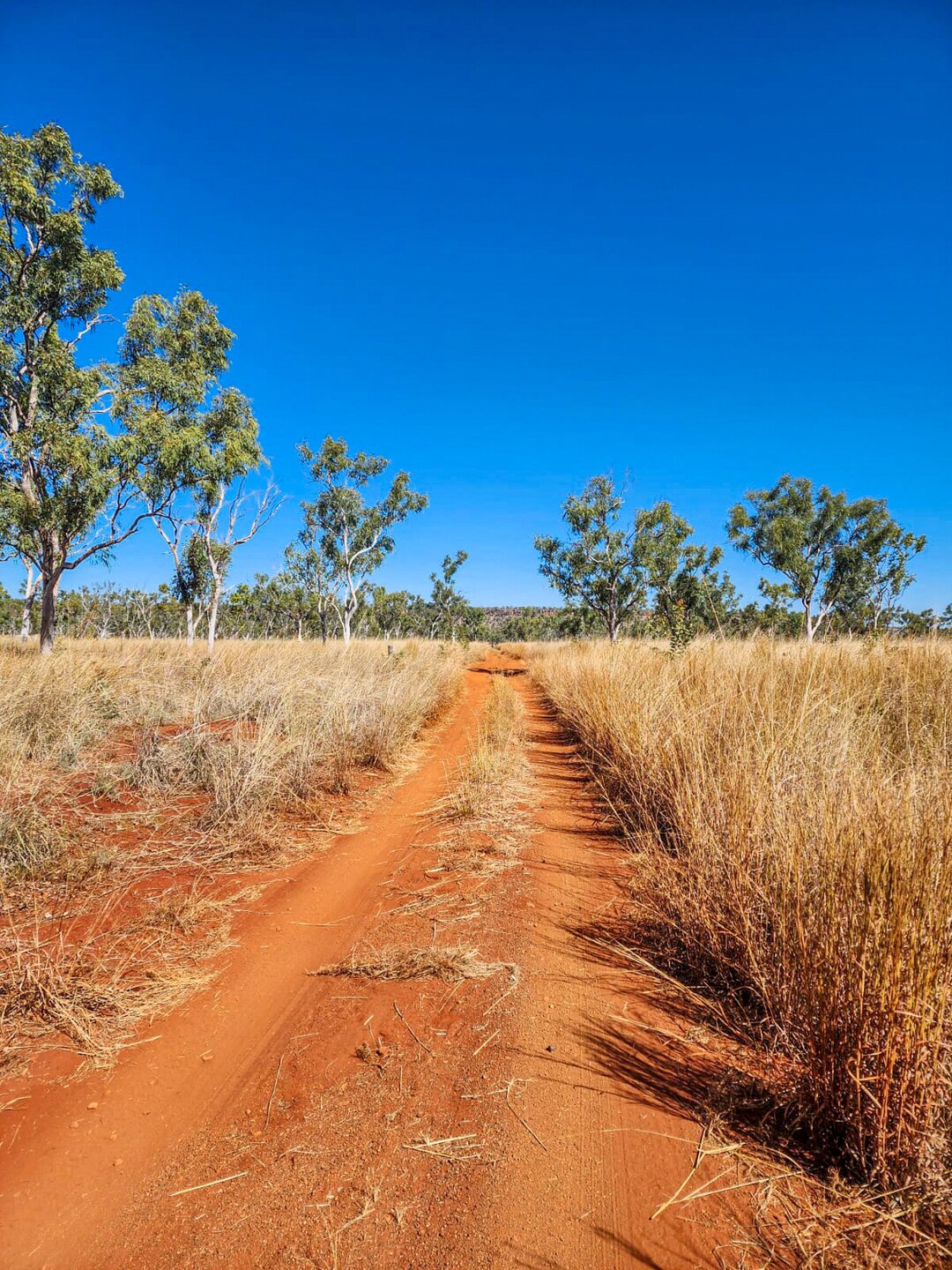 Australiana Australian Photography Landscape Photography Outback Native ...