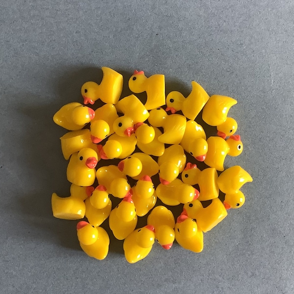 Miniature Ducks - Etsy
