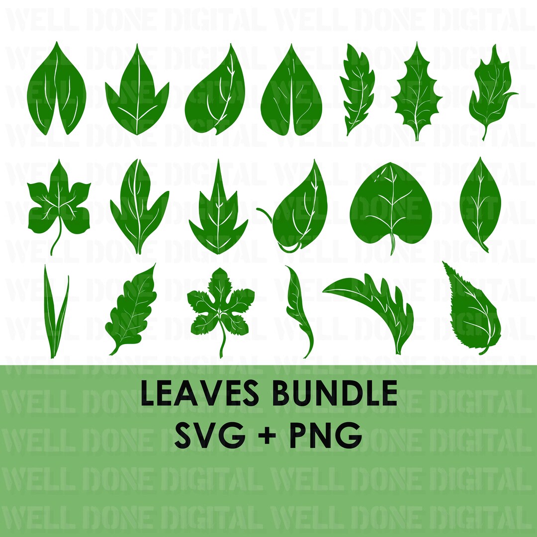 Hojas svg hoja svg papel flor hojas svg plantillas de hojas - Etsy México