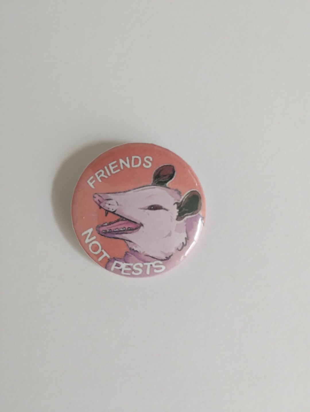 Opossum Friend Badge - Etsy