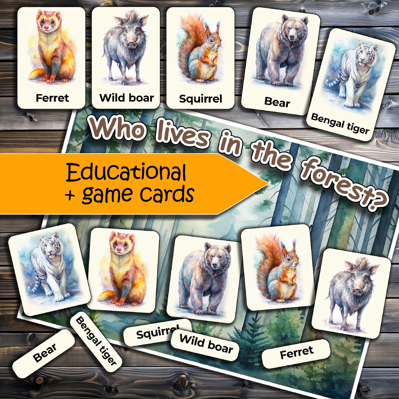 Educational Montessori and Waldorf Vocabulary Flash Cards Digital ...