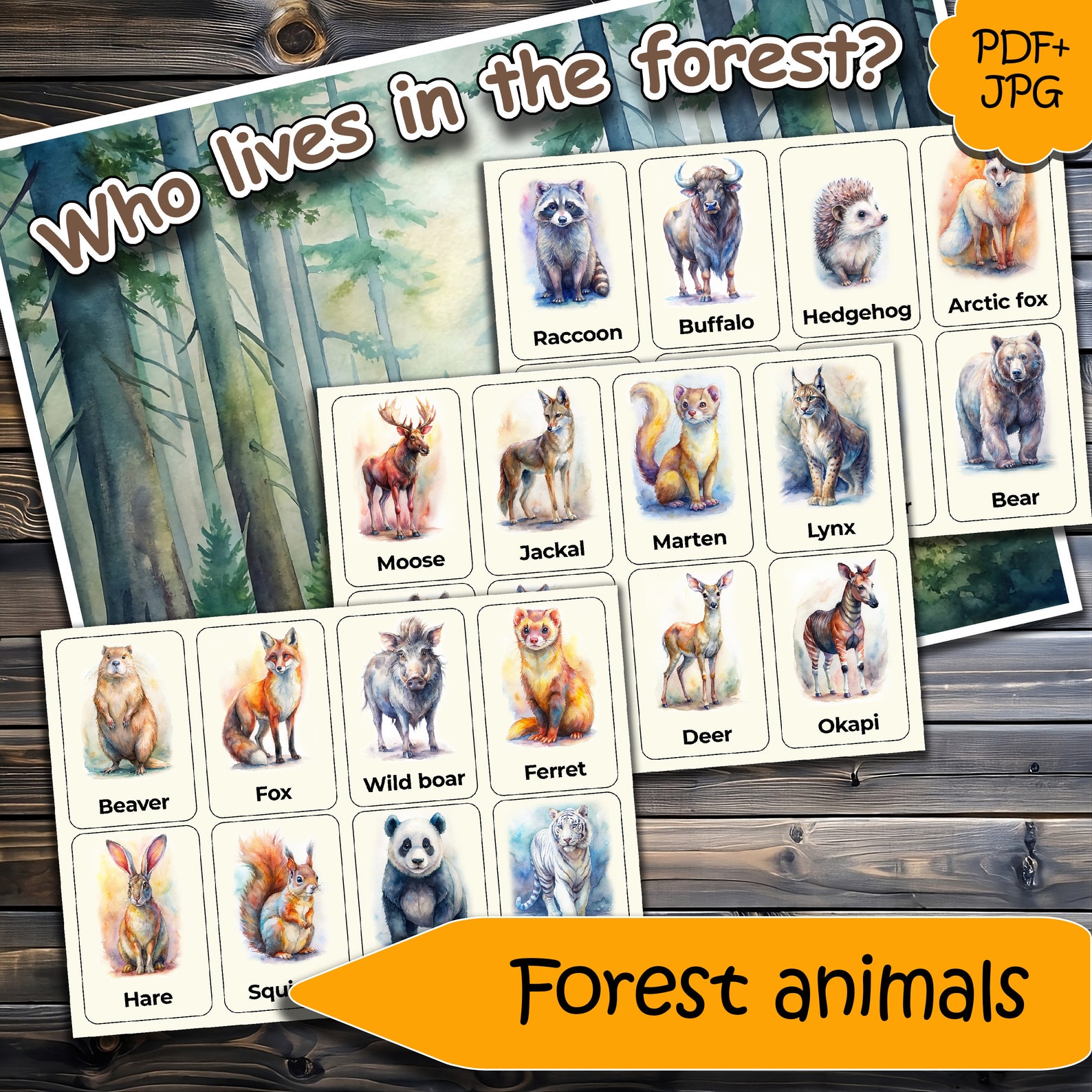 Educational Montessori and Waldorf Vocabulary Flash Cards Digital ...