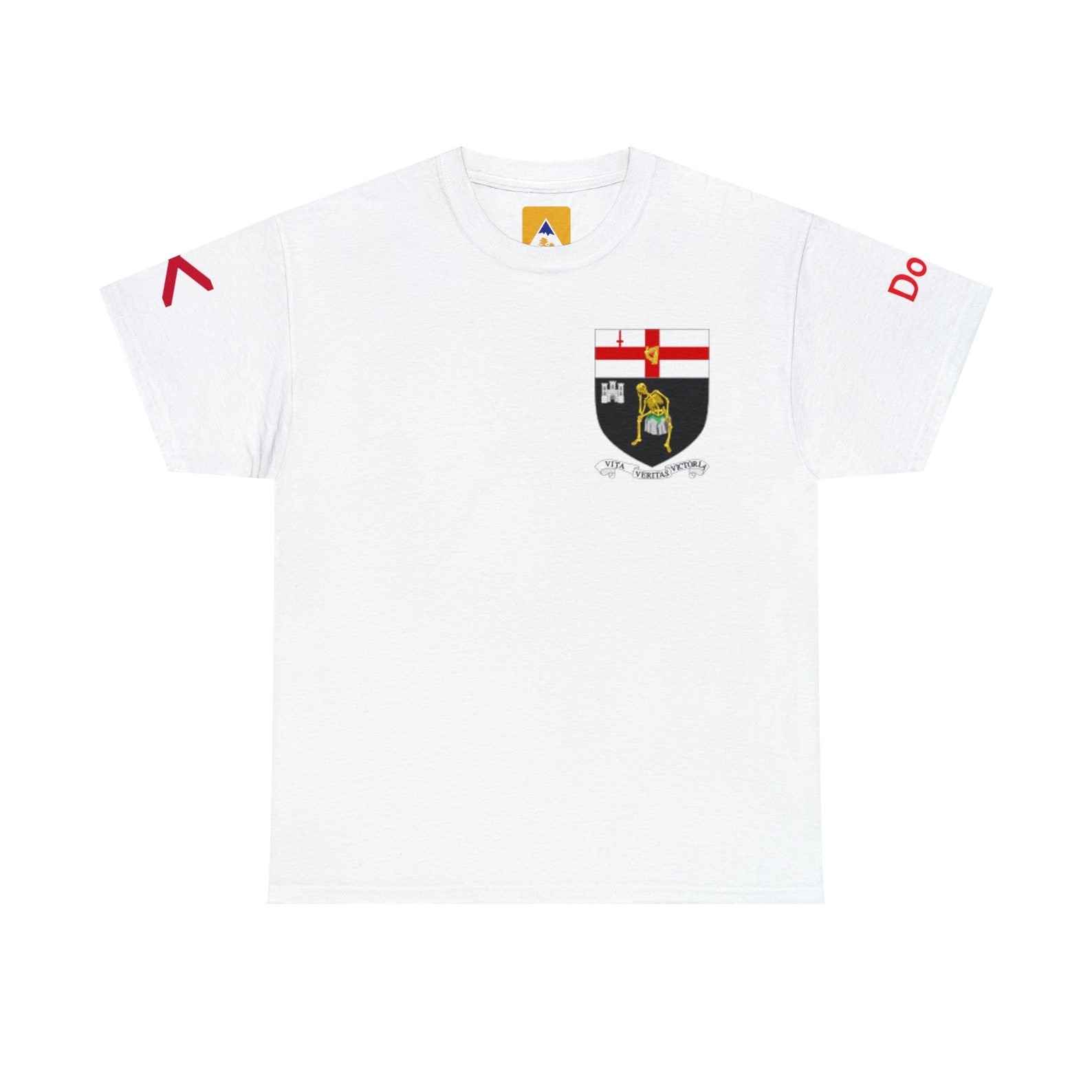 City of Derry (doire) T-shirt - Etsy