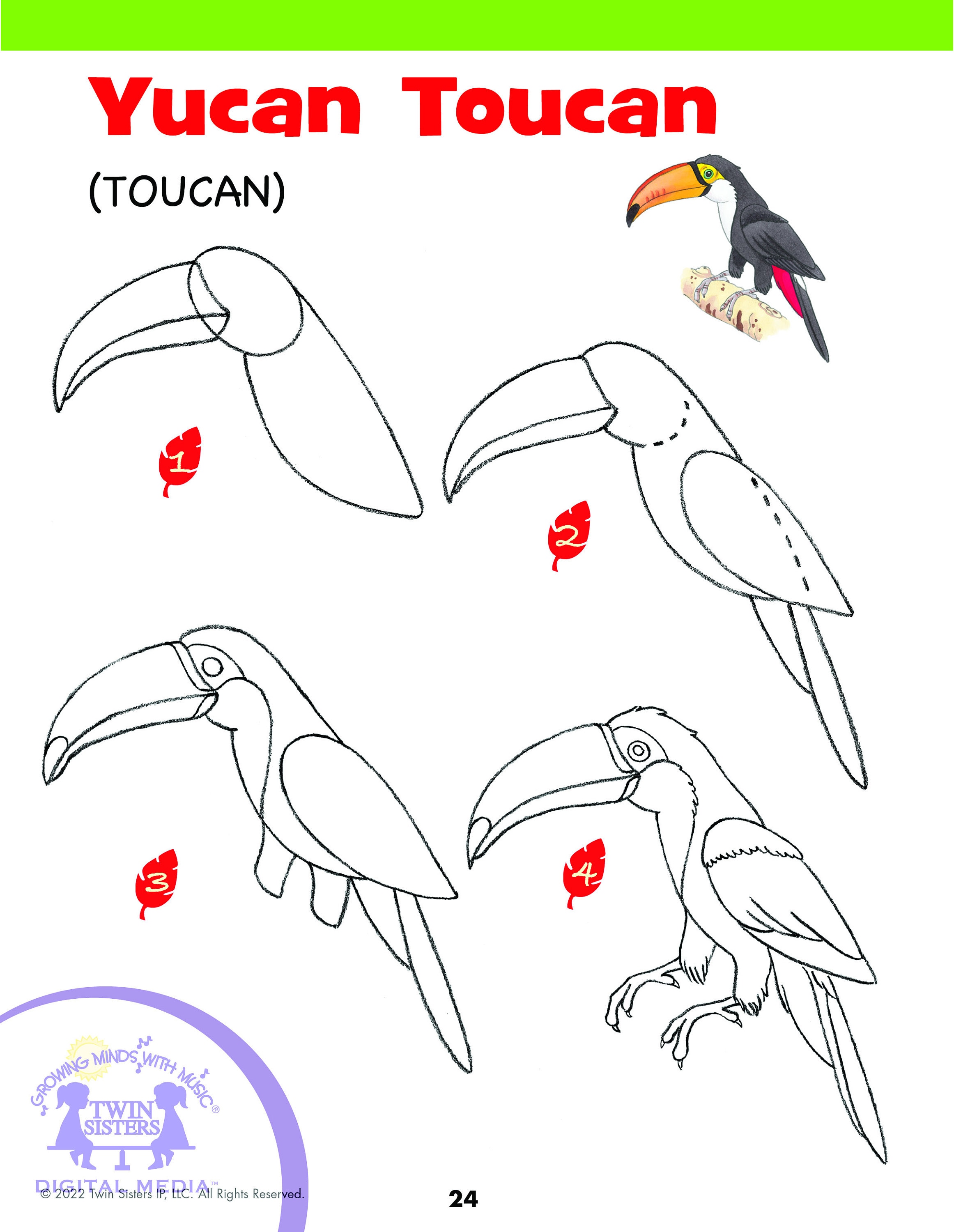 I Can Draw Jungle Animals - Etsy