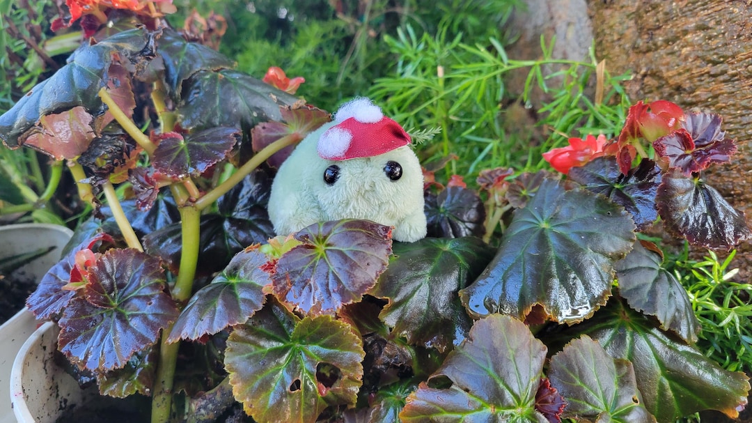 Custom Wizard Rat and Wizard Frog Plushies / Stuffed Animals - Etsy