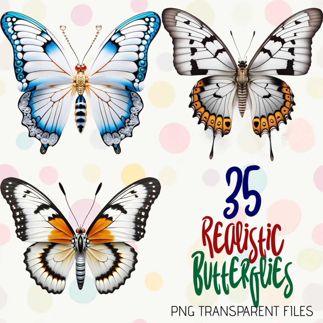 35 Realistic Beautiful PNG Butterflies Digital Colorful Clipart ...