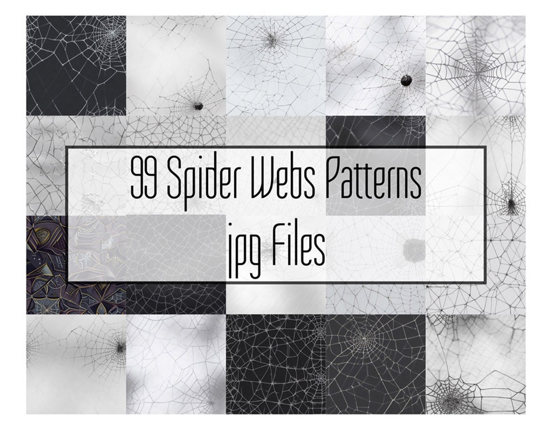 99 Graphic Spider Webs Patterns Ornamental Beautiful Smooth - Etsy