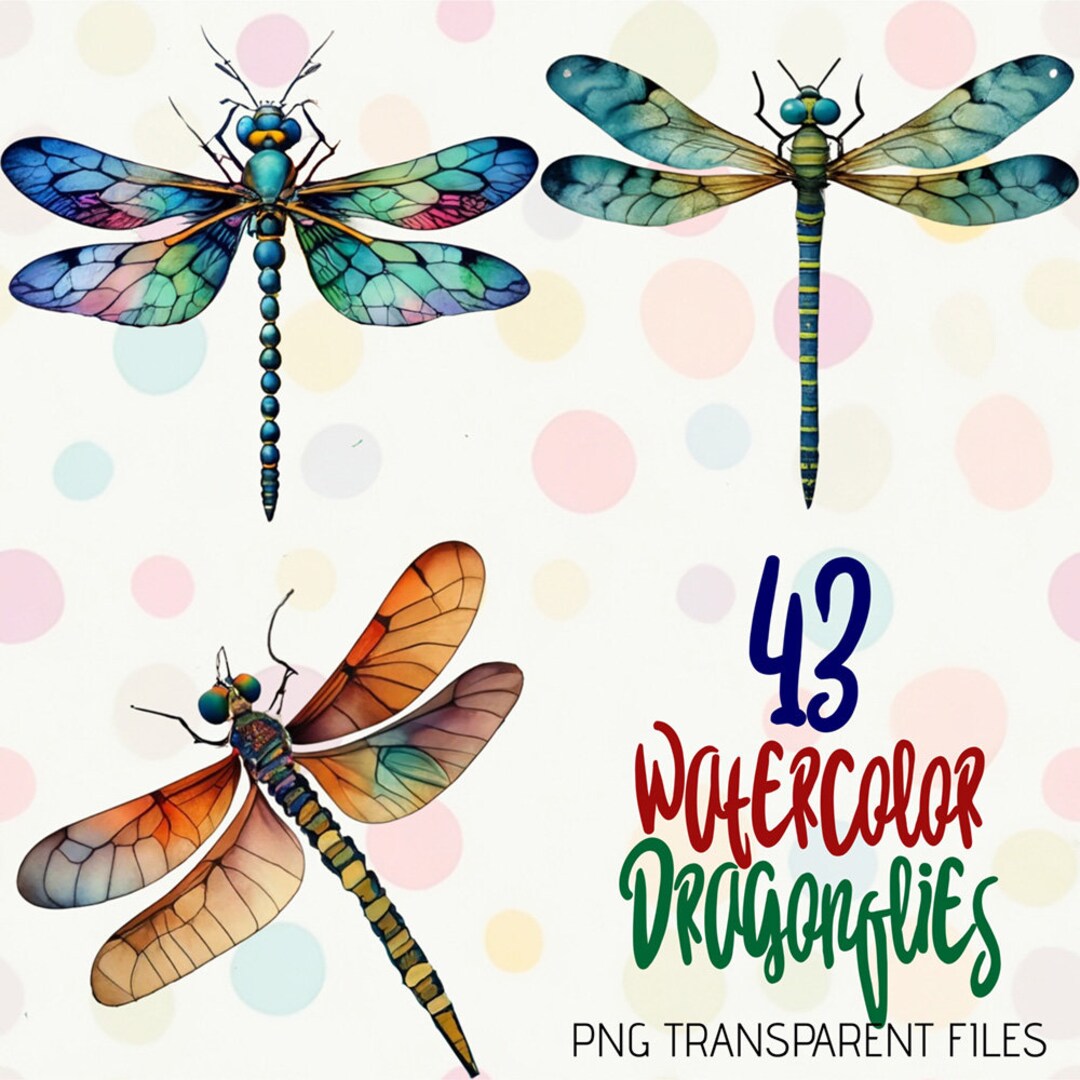 43 Watercolor Beautiful PNG Dragonflies Digital Colorful Gorgeous ...