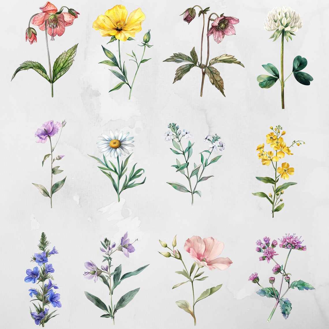 Watercolor Wildflower Clipart Set, Meadow Flowers Art Bundle, Comercial ...
