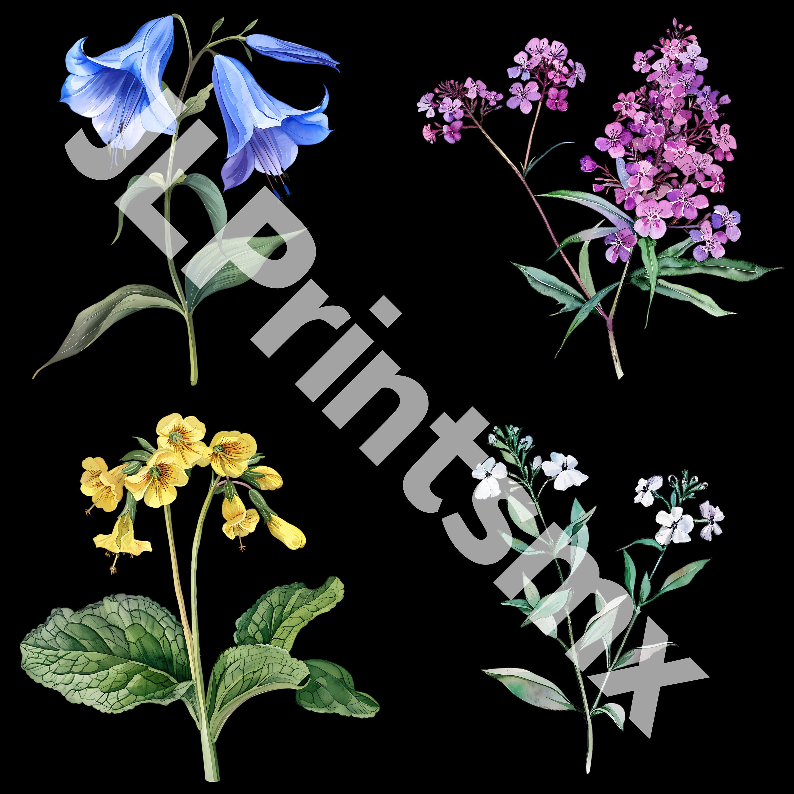 Watercolor Wildflower Clipart Set, Meadow Flowers Art Bundle, Comercial ...