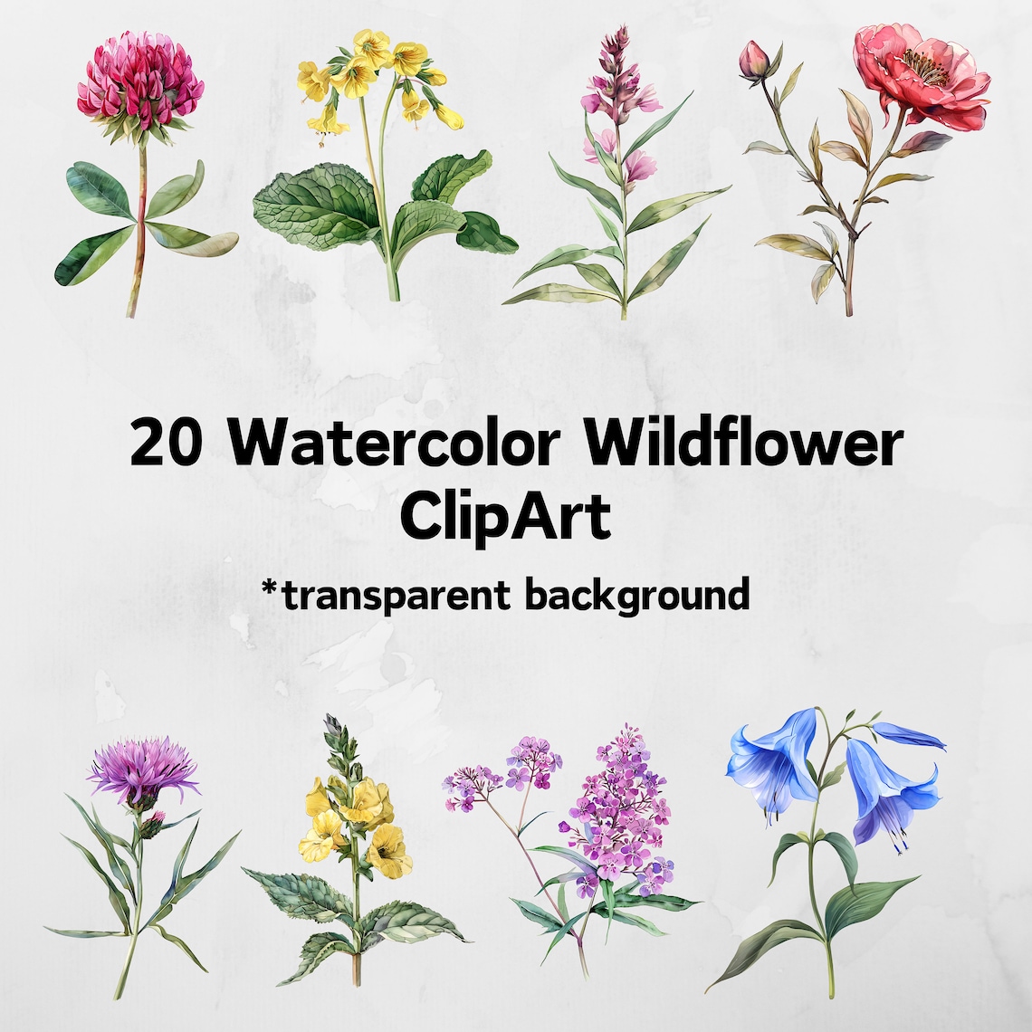 Watercolor Wildflower Clipart Set, Meadow Flowers Art Bundle, Comercial ...