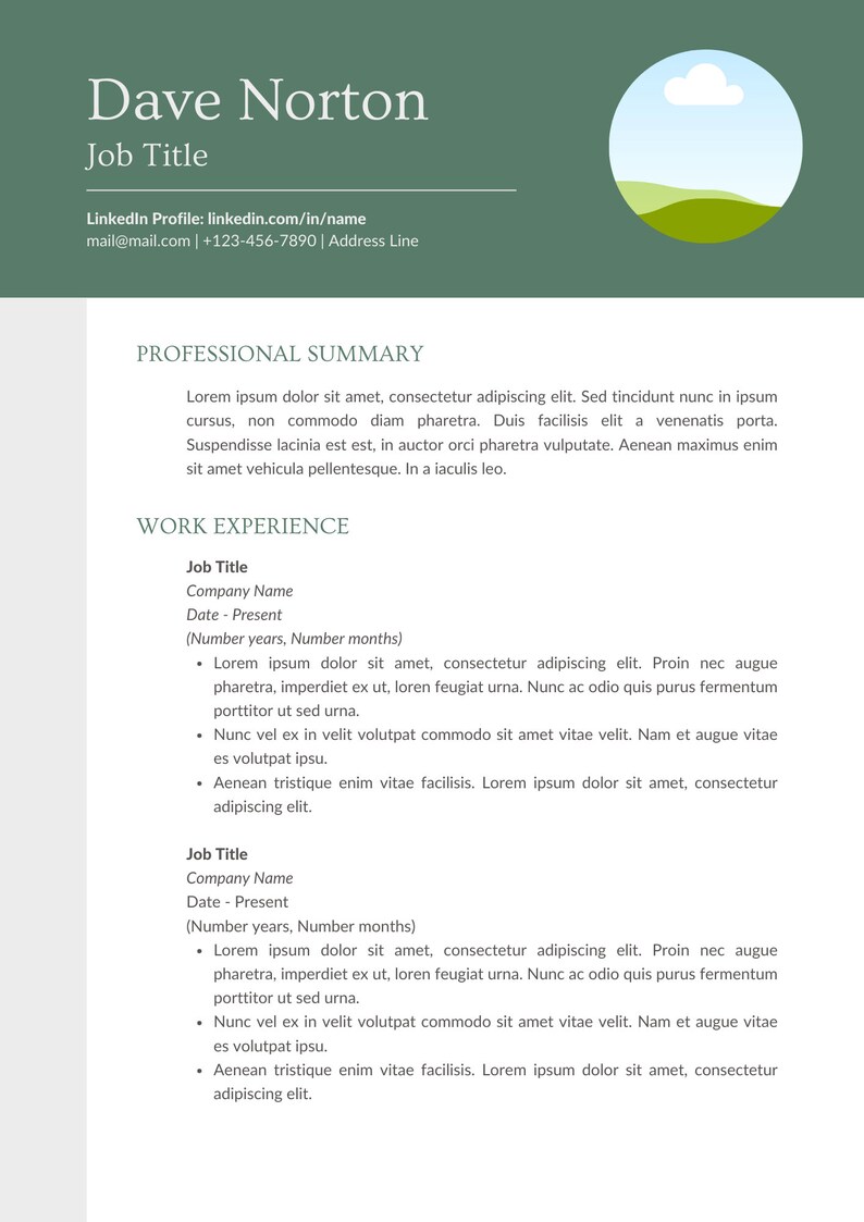 Modern Professional Resume Template | Minimalist Resume Template ...