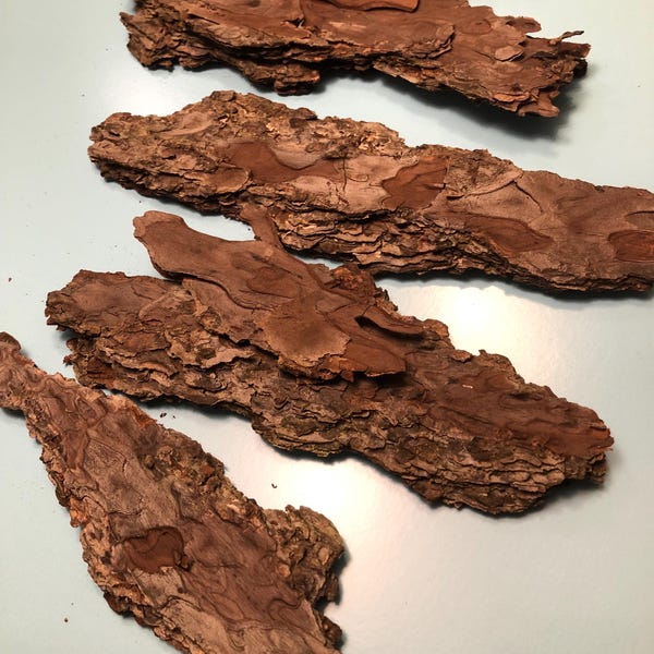 Tree Bark Mask - Etsy