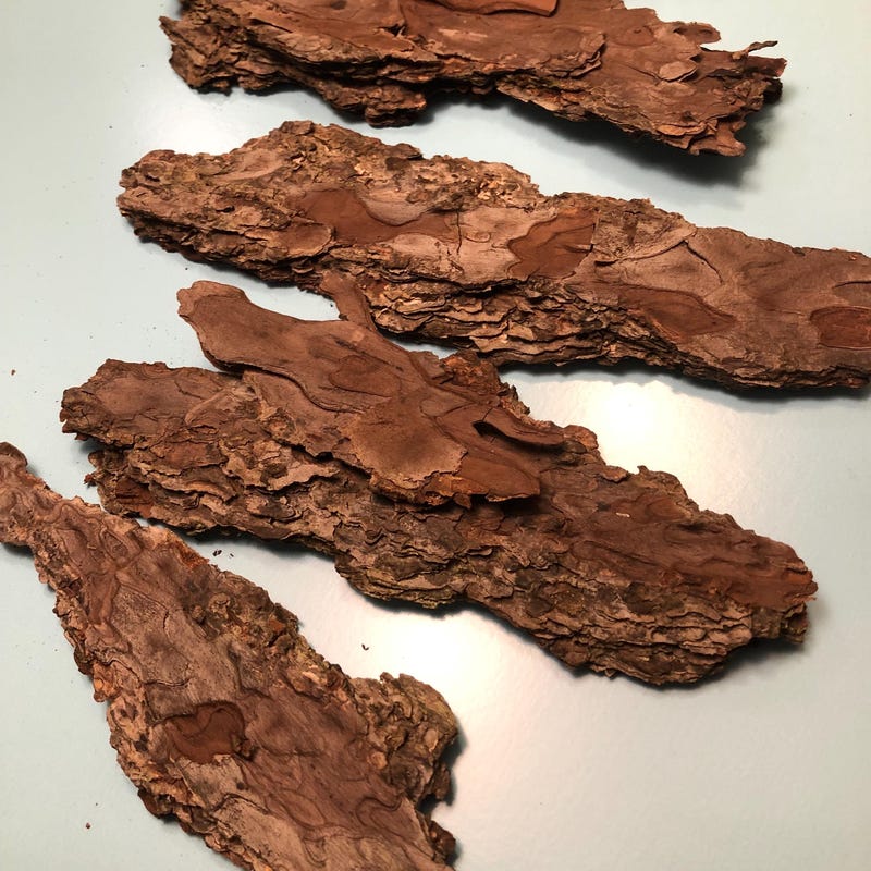 Tree Bark Mask - Etsy