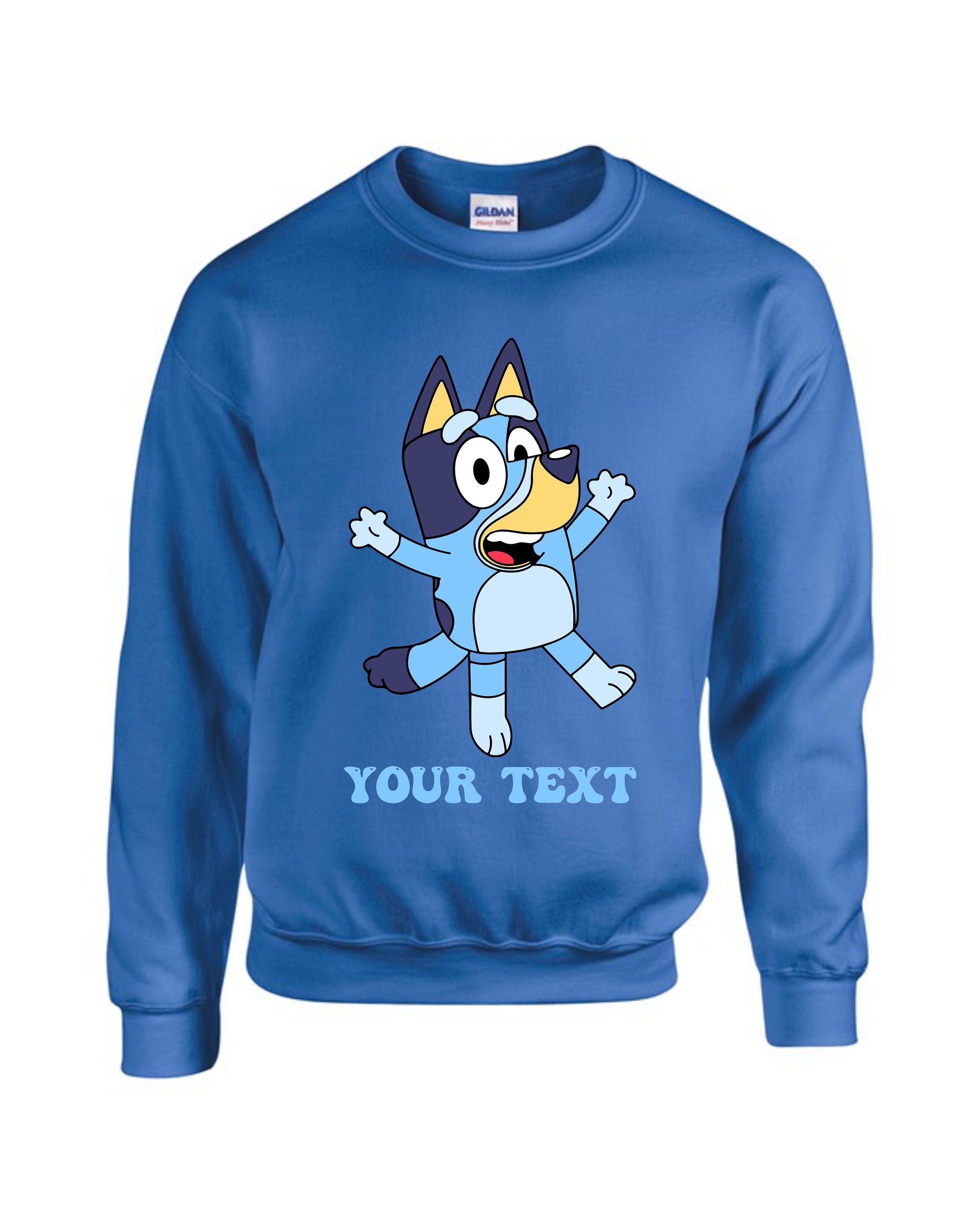Bluey and Bingo Jumper / Bluey Bingo Puppy Animation Cartoon Character ...