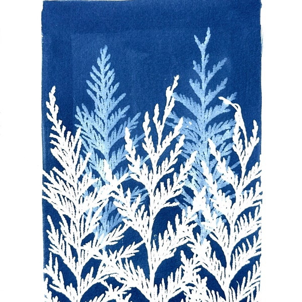 Cyanotype Print - Etsy