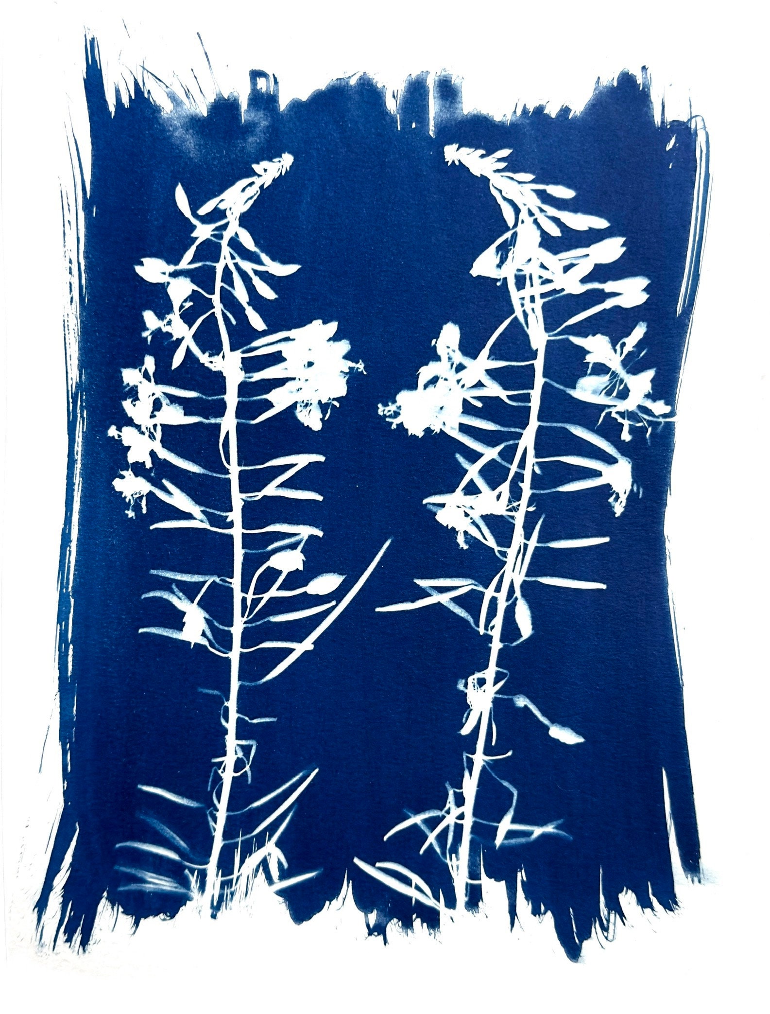 Fireweed Brushstroke Cyanotype Print - Etsy