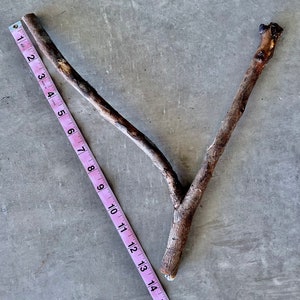 Plant Support Natural Wood Stick - Etsy