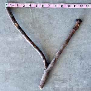 Plant Support Natural Wood Stick - Etsy