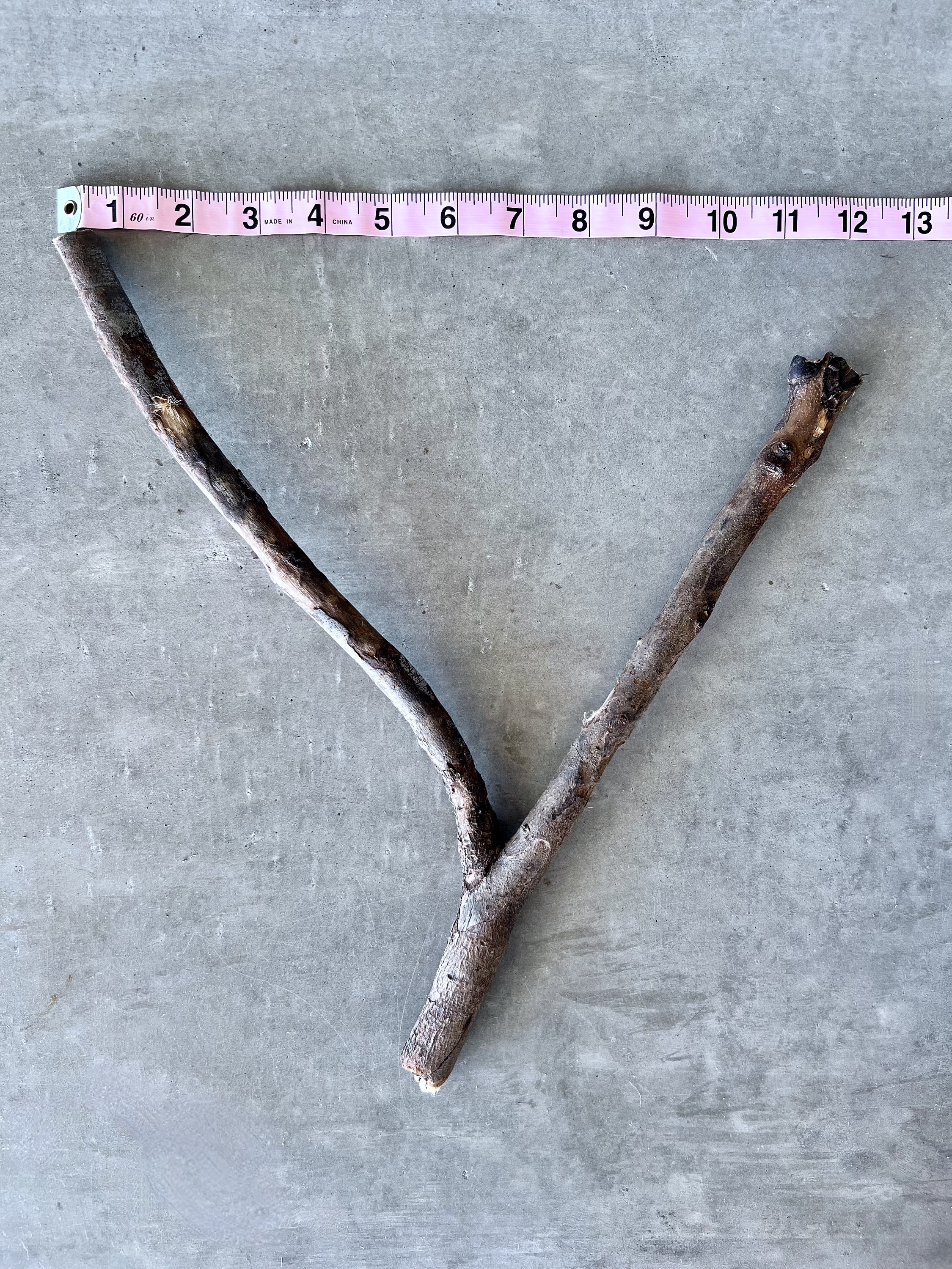 Plant Support Natural Wood Stick - Etsy