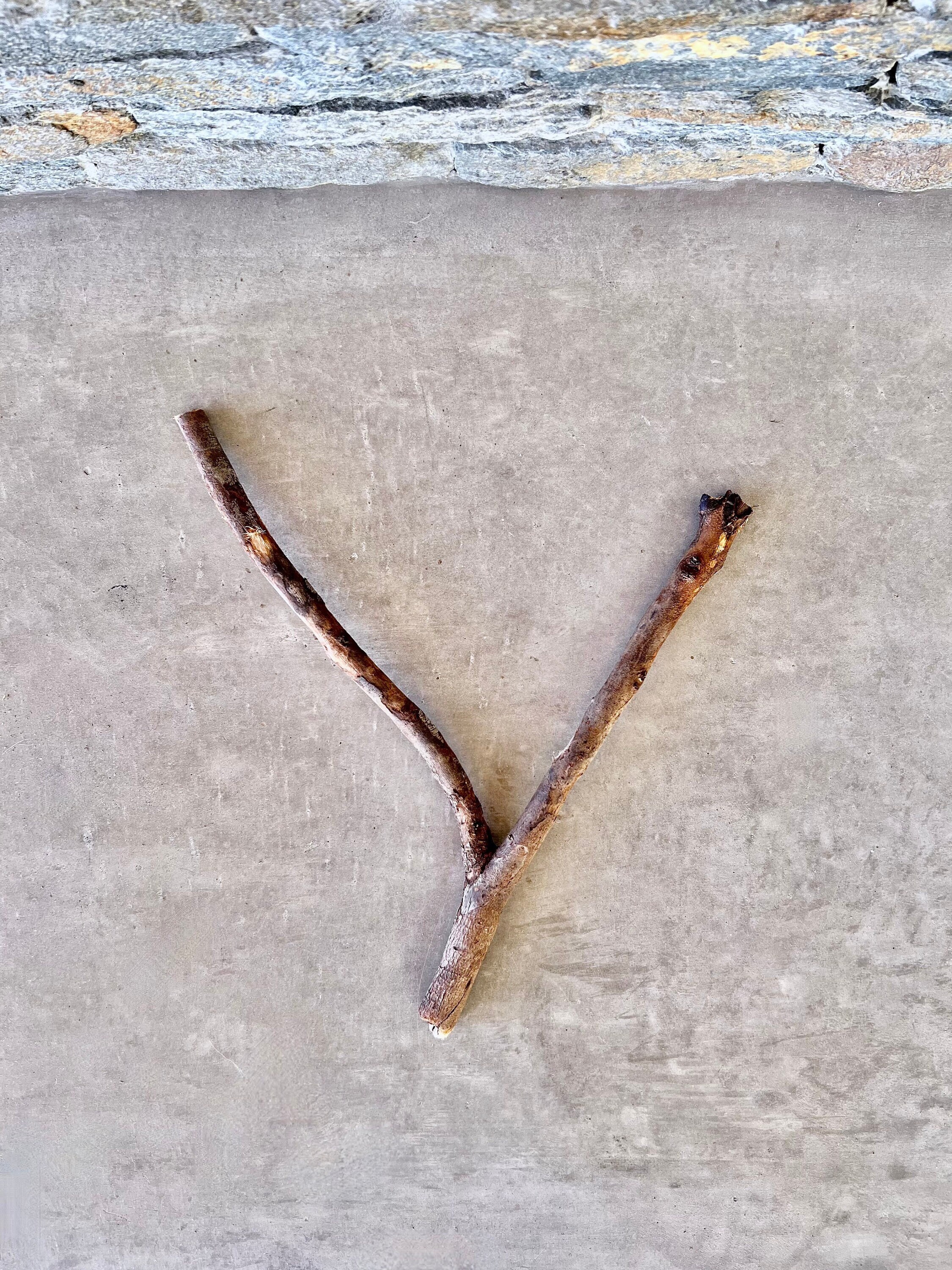 Plant Support Natural Wood Stick - Etsy