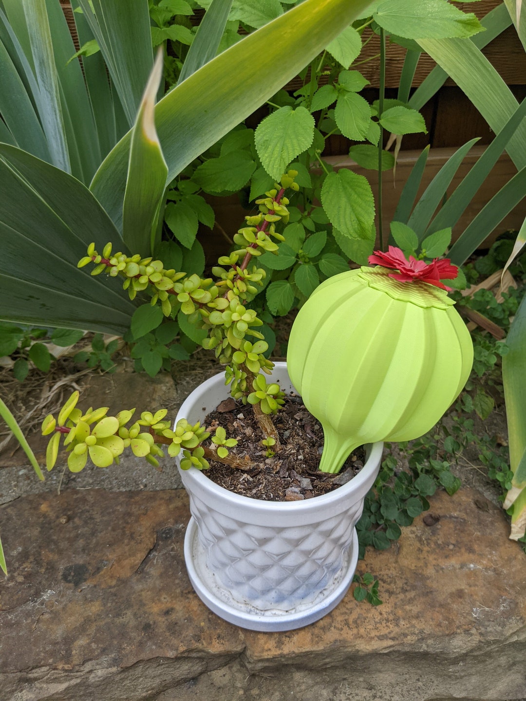 Automatic Self-watering Water Spike for Plants 3pcs - Etsy