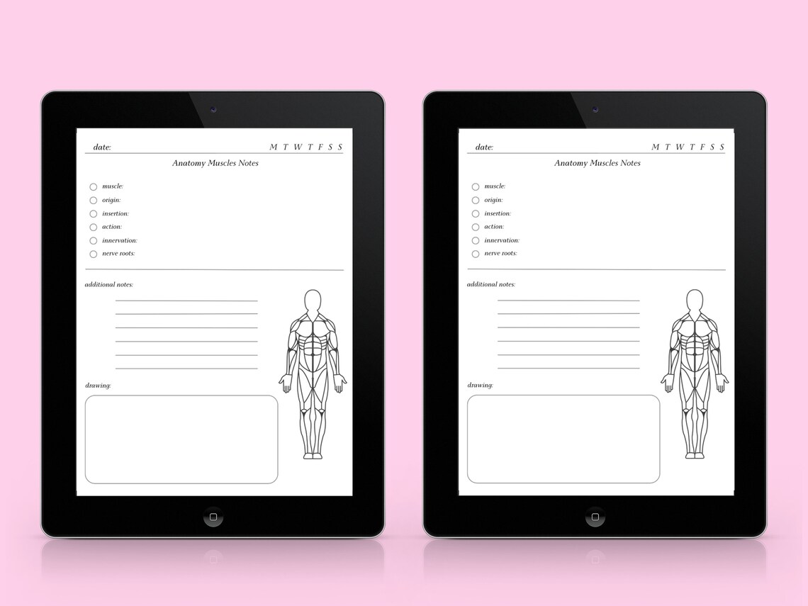 Digital Anatomy Notes Sheet, Muscles Study Tool, Nursing School & Grad ...